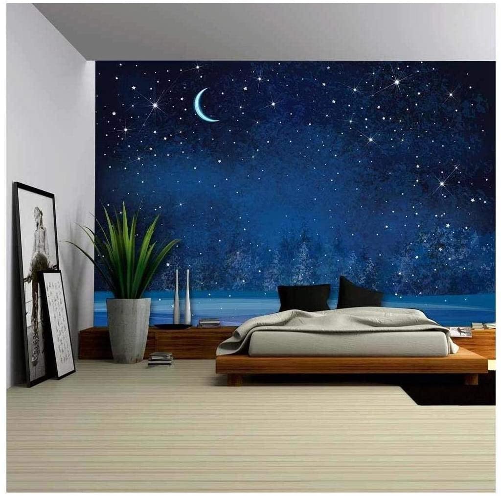 5 Star Wall Mural Facts That Will Amaze You! - Wall26
