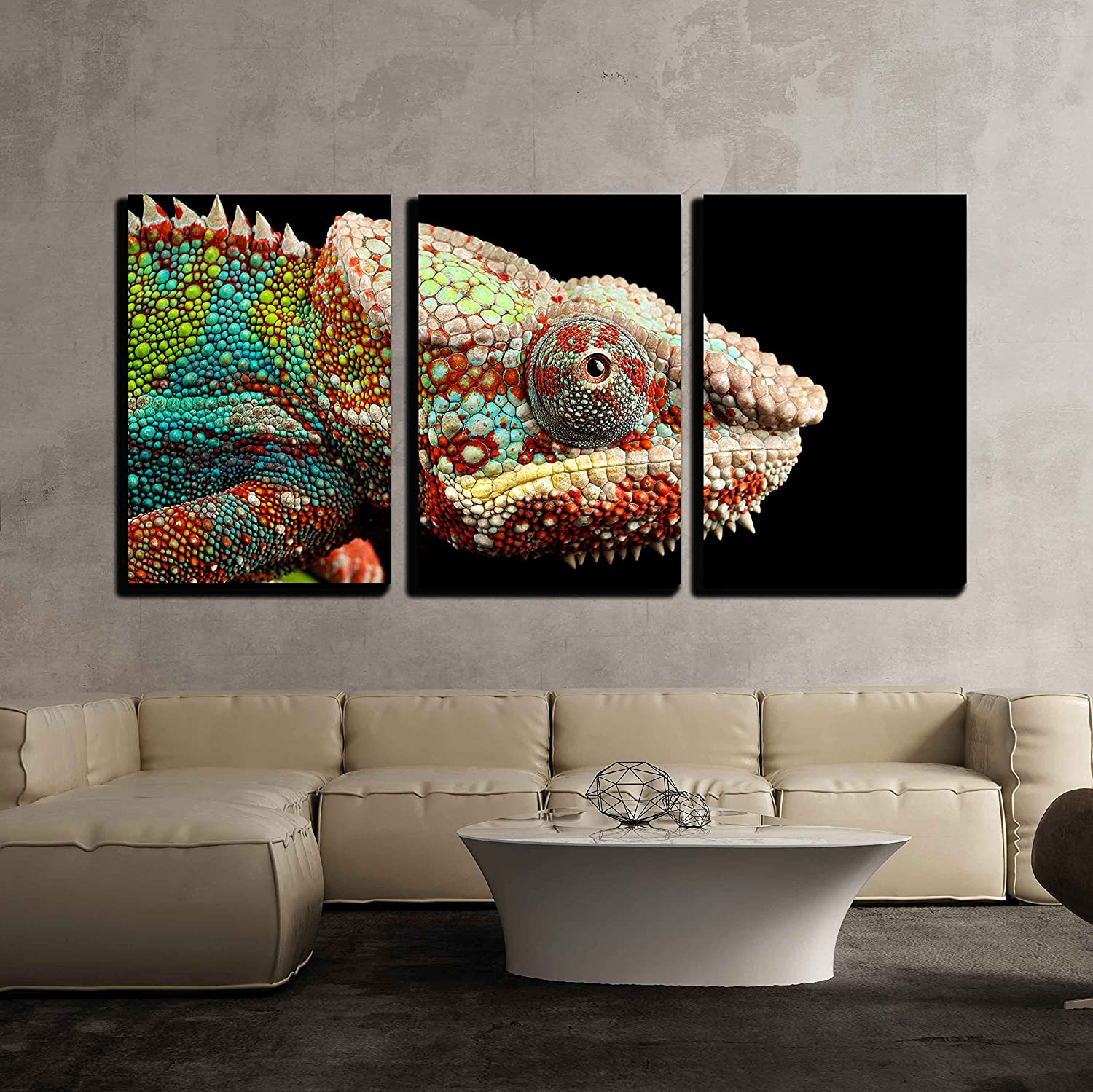 Chameleon Wall Art Facts That Will Wow You! - Wall26